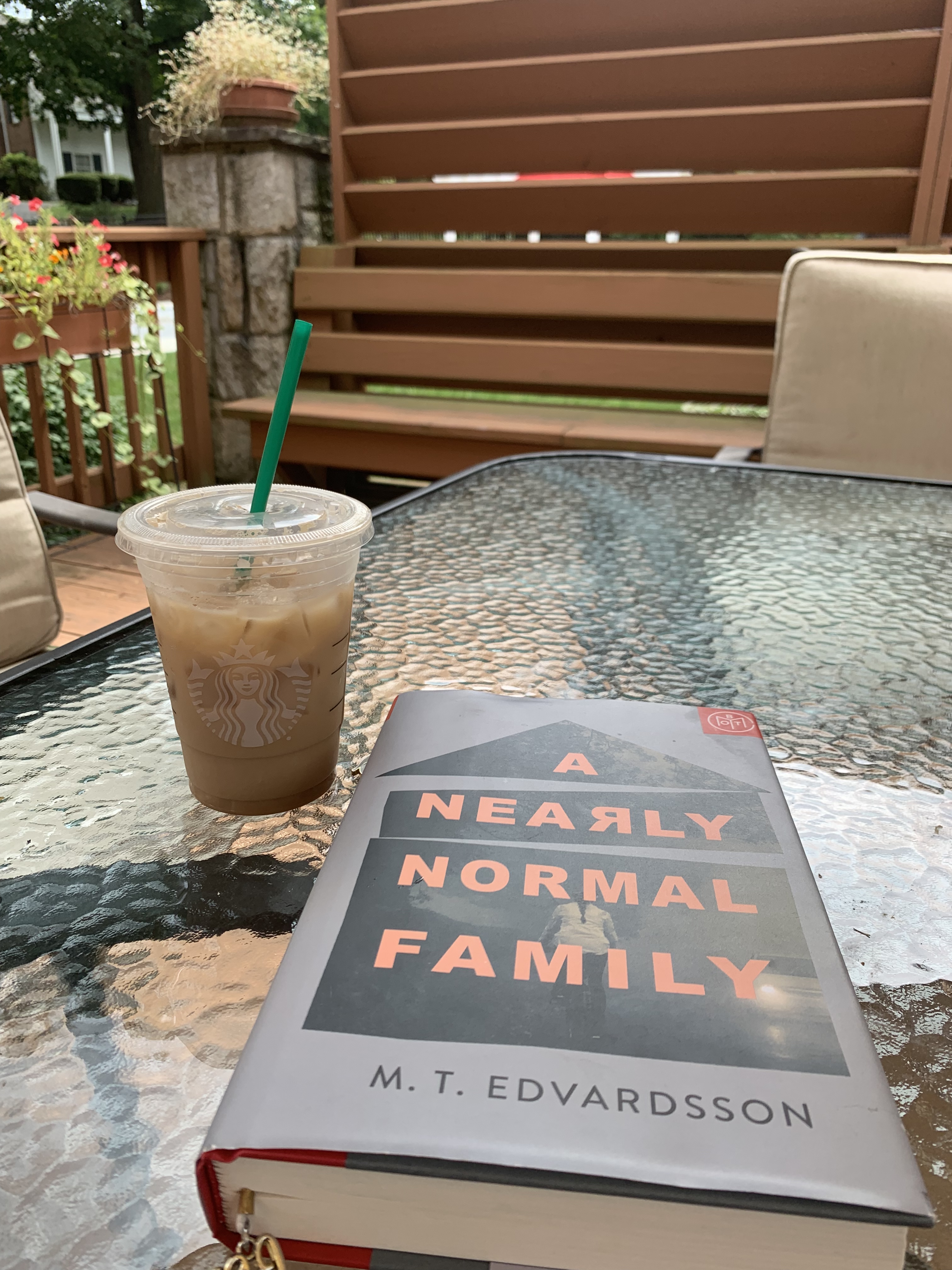 Book Review: A Nearly Normal Family by MT Edvardsson – Twist and Tell Reads